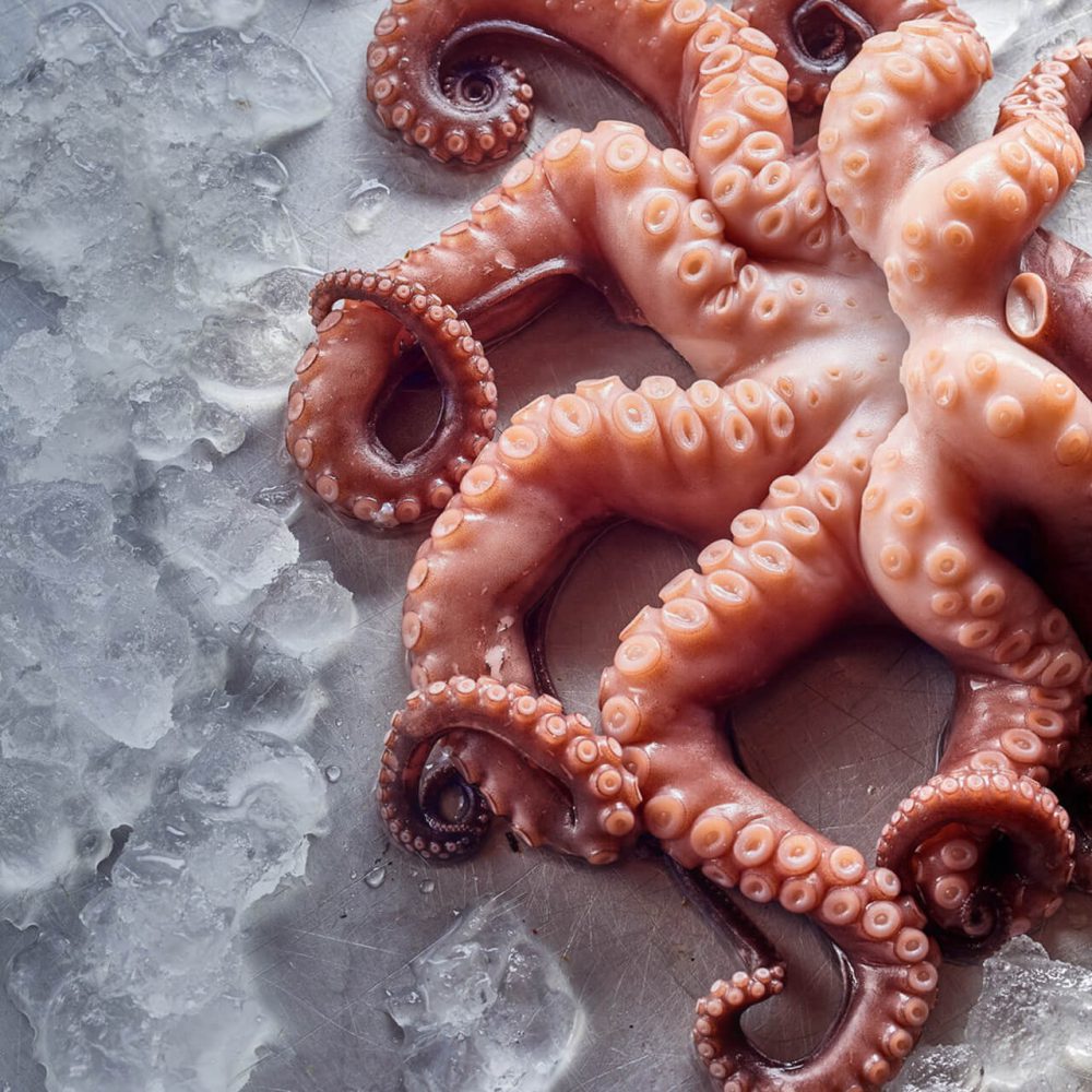 Pescheria - Ittica Brianza